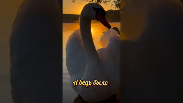 Когда-то было