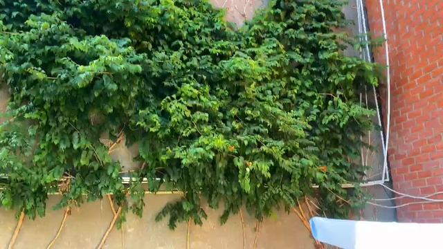 Территория гостевого дома Бригантина