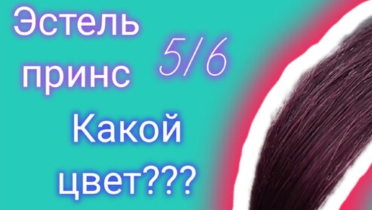 Краситель Эстель принс 5/6.Какой цвет???