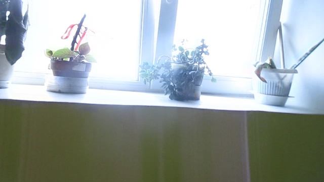 Новый лифт КМЗ 2021 года выпуска @ М.О. г. Королев, мкр. Юбилейный, ул. Парковая, д. 3-4 (50)