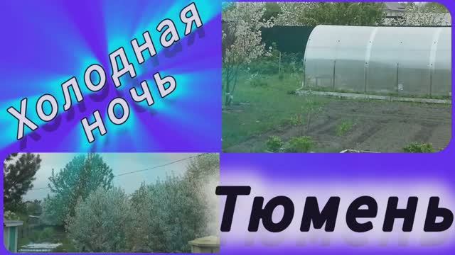 Наступили холодные ночи! Тюмень.