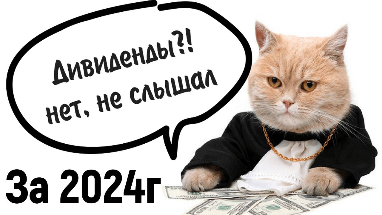 Дивидендов не будет! Массовый отказ от выплат дивидендов на российском рынке за 2024 год