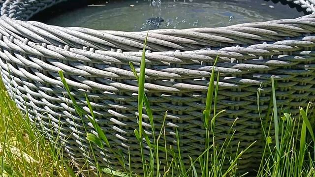 Фонтан из ротанга. Осилит даже новичок #фонтан #ротанг #кашпо #фонтанизротанга #кашпоизротанга #сад