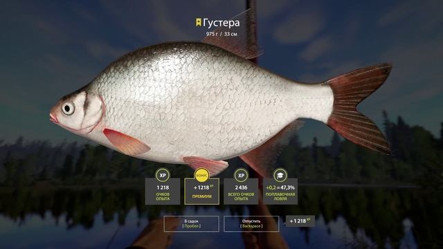 Русская Рыбалка 4 (Густера) оз. Старый Острог