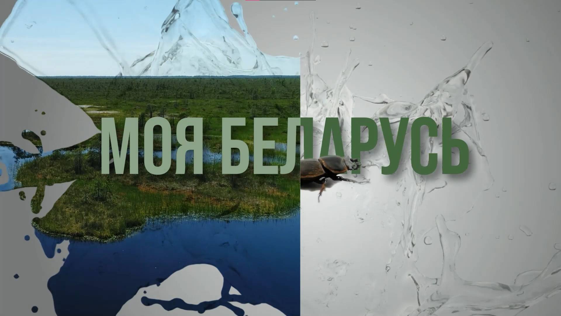 Моя Беларусь #3 | Споровское озеро