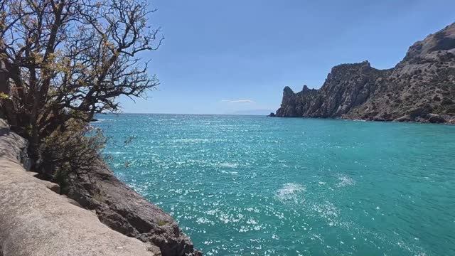 Новый Свет Приехал и обалдел! Обзор красот ! Куда стоит пойти в первую очередь? Крым 2025