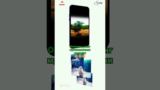 Оллох ☝️ мехрибон