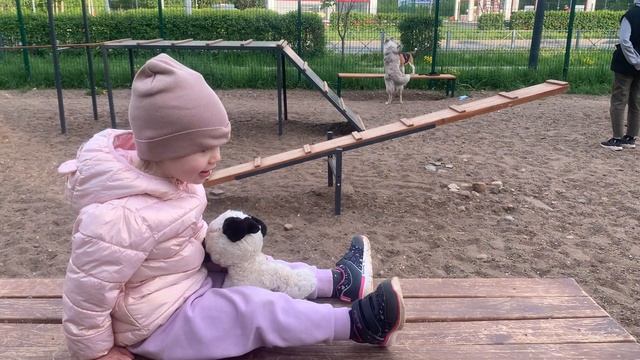 Ульяна дрессировщик собак, лето 25