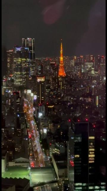 Ночной Токио. Вид сверху