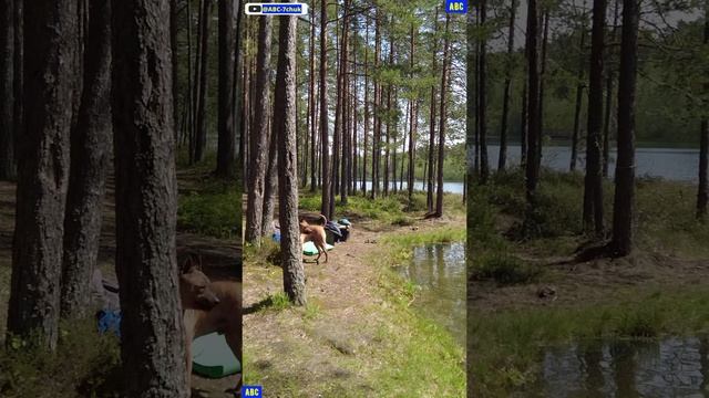 Заплыв кролем 23.05.25 (4К) #бодрыйдедза65лет #юныйпрадедбодрыйдед #производствостанков