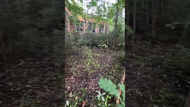 Заброшенный пионер лагерь «Космонавт"