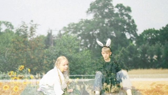 Ослик говорит с котом