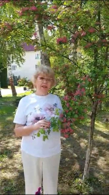 Поздравление от Татьяны 24.05.25.