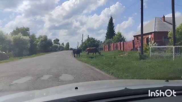 И снова пятница