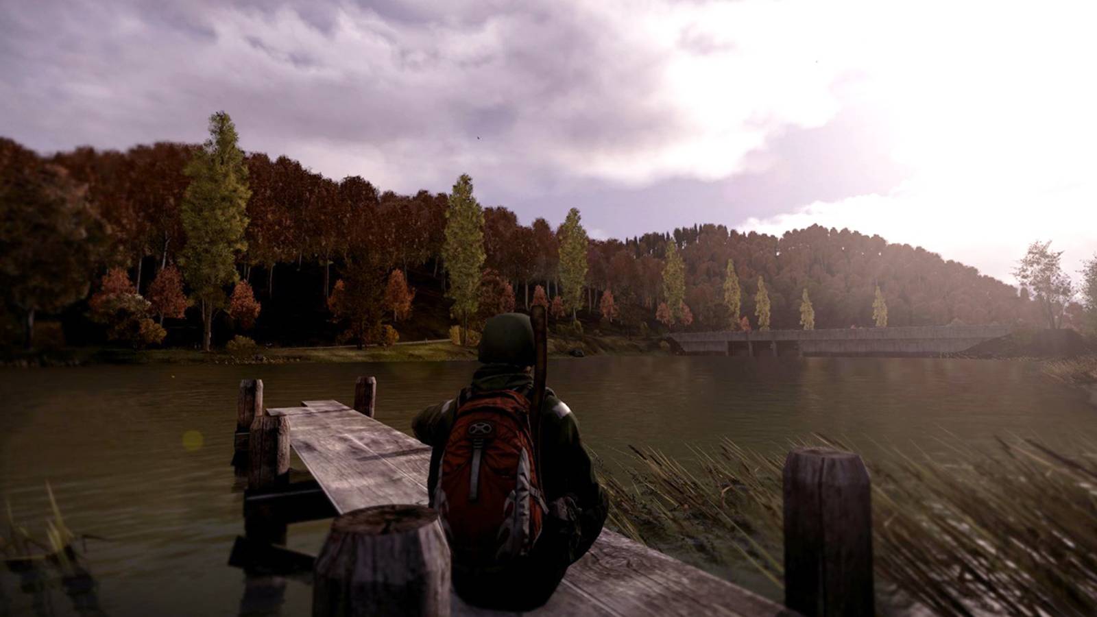 Dayz №8