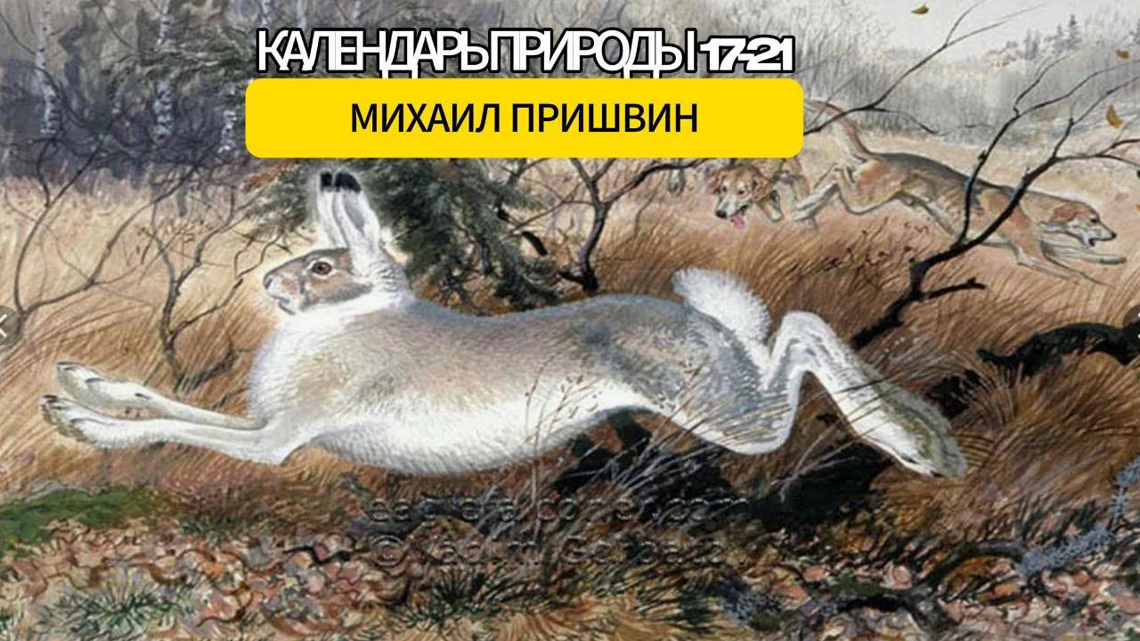 Михаил Пришвин-17-21 / Расцветание орешника. Скорая любовь / Аудиокнига / Творческая Находка