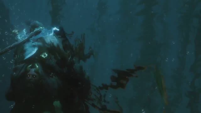 Подводный КОнь !
God of War Ragnarok  # 11