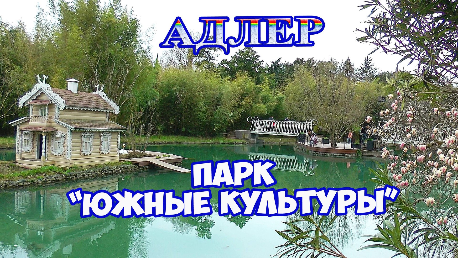 Парк Южные культуры в Адлере. Цветение магнолии. Отдых в Сочи-Адлере. Что посмотреть в Сочи-Адлере