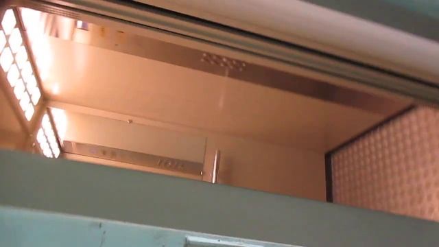 Лифты  Ecomaks-(ЩЛЗ), музыкал. грузпасс. @ М.О. г. Королев, ул. Калининградская, д. 6-5 (51)