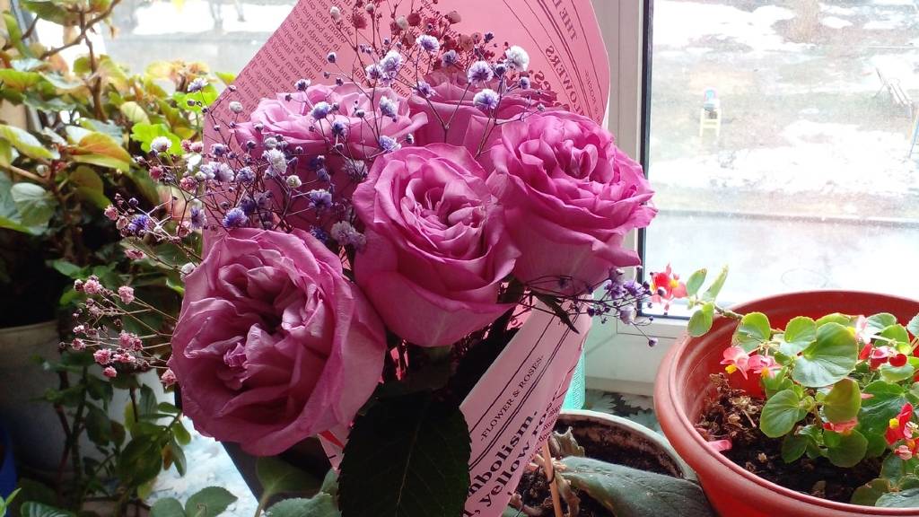 8 марта . Праздник . Всю прекрасную половину планеты Земля. Поздравление. Любви . Счастья . Мира