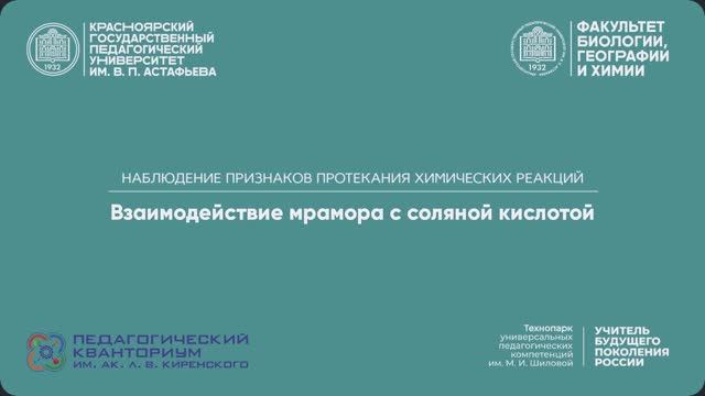 05. Взаимодействие мрамора с соляной кислотой/признаки протекания химических реакций /опыт