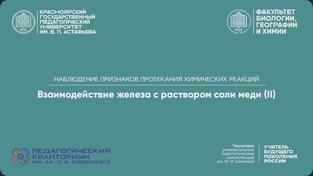 04. Взаимодействие железа с раствором соли меди (II)/признаки протекания химических реакций/опыт