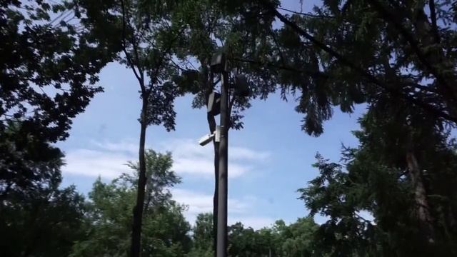 Собачий сквер.