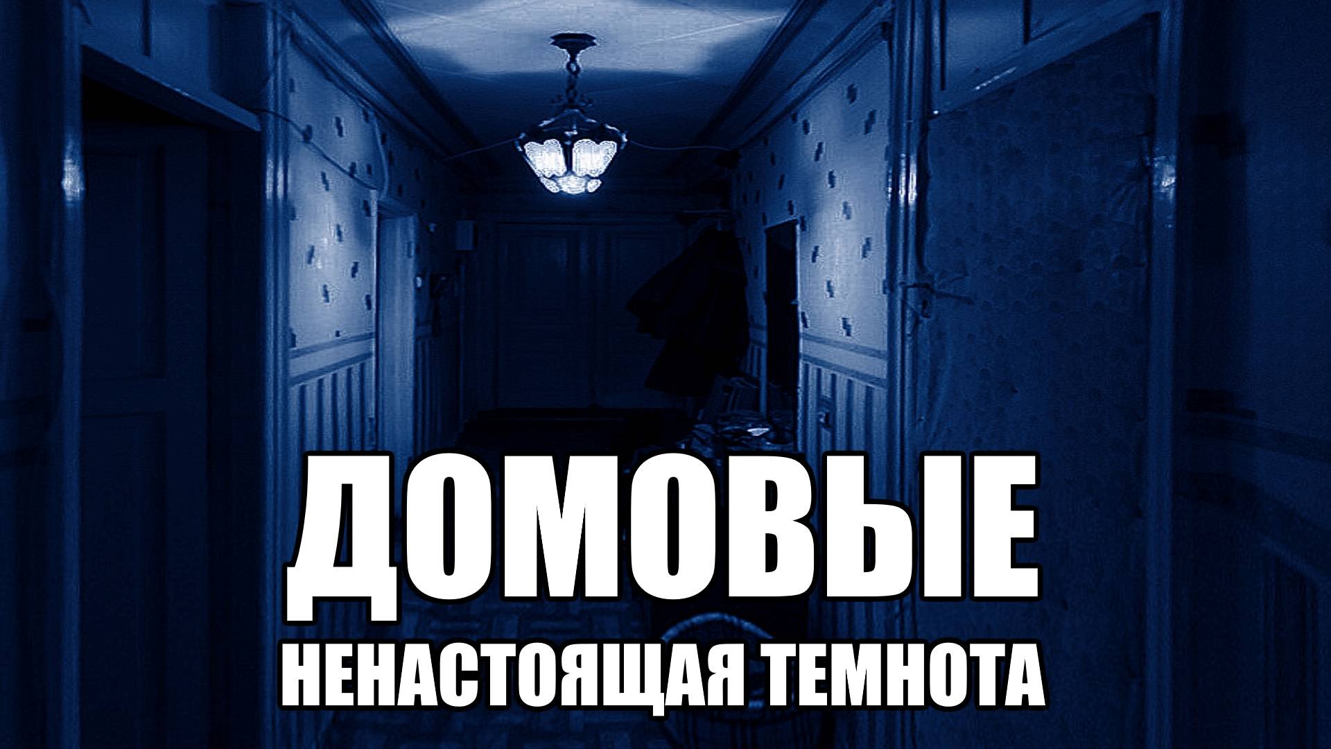 Страшные истории. ДОМОВЫЕ. Ненастоящая темнота. Часть 25.