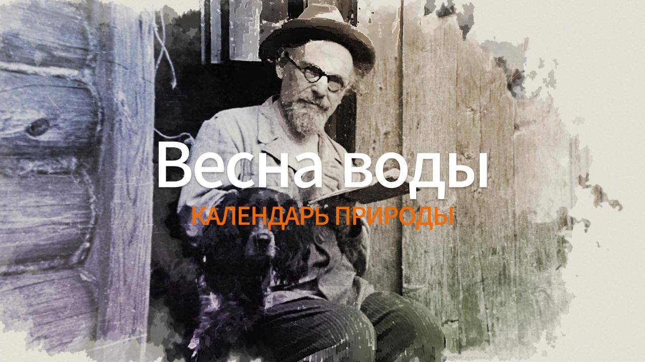 Михаил Пришвин 9-15 /  Весна воды / Календарь природы / Аудиокнига / Творческая Находка