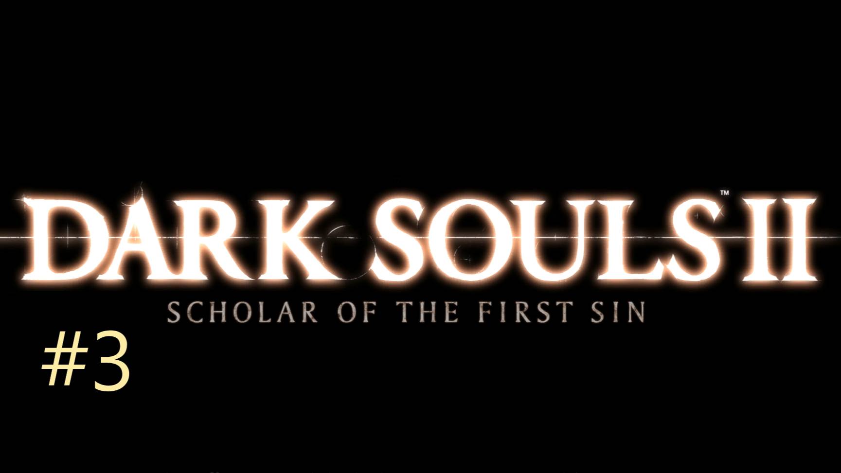 Dark Souls 2. Улучшенная графика. Прохождение Part #3. Драконоборец и драконий всадник