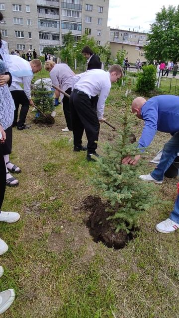 Елка имени хоккея сибирского :))