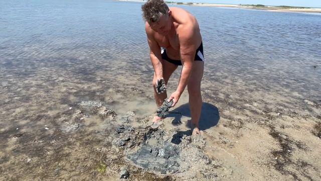 Моржи на Азовском море