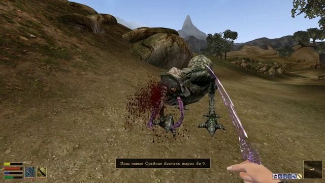 Morrowind part № 26