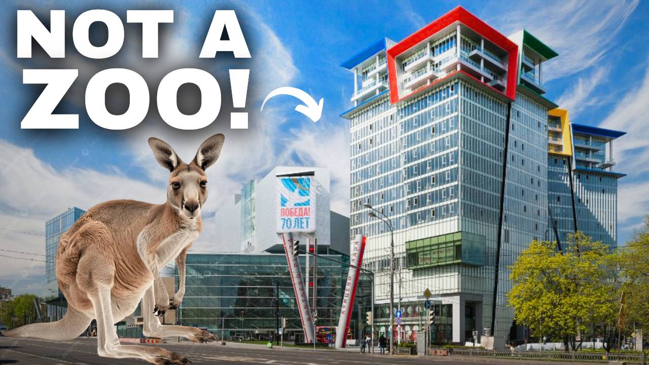 Can I find a Real Kangaroo in Moscow Russia?