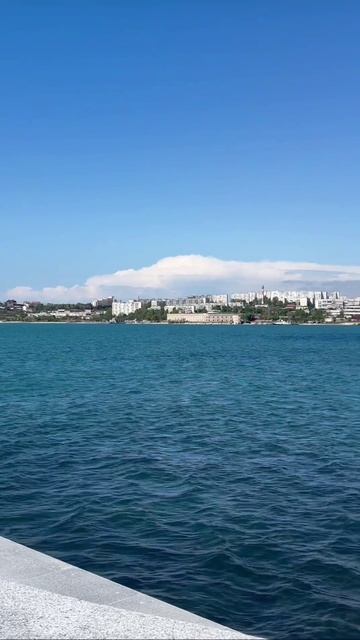 maximkama мой т г к #рек #новое #топ #новыйавтор #лайк #лучшее #максимкам #подписка #треш #актив