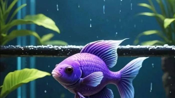 ИЮНЬ--РАК(таро)