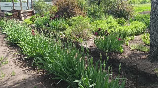 24 мая отличная погода ,  покажу все изменения на своем участи  и планы на ближайшее время .