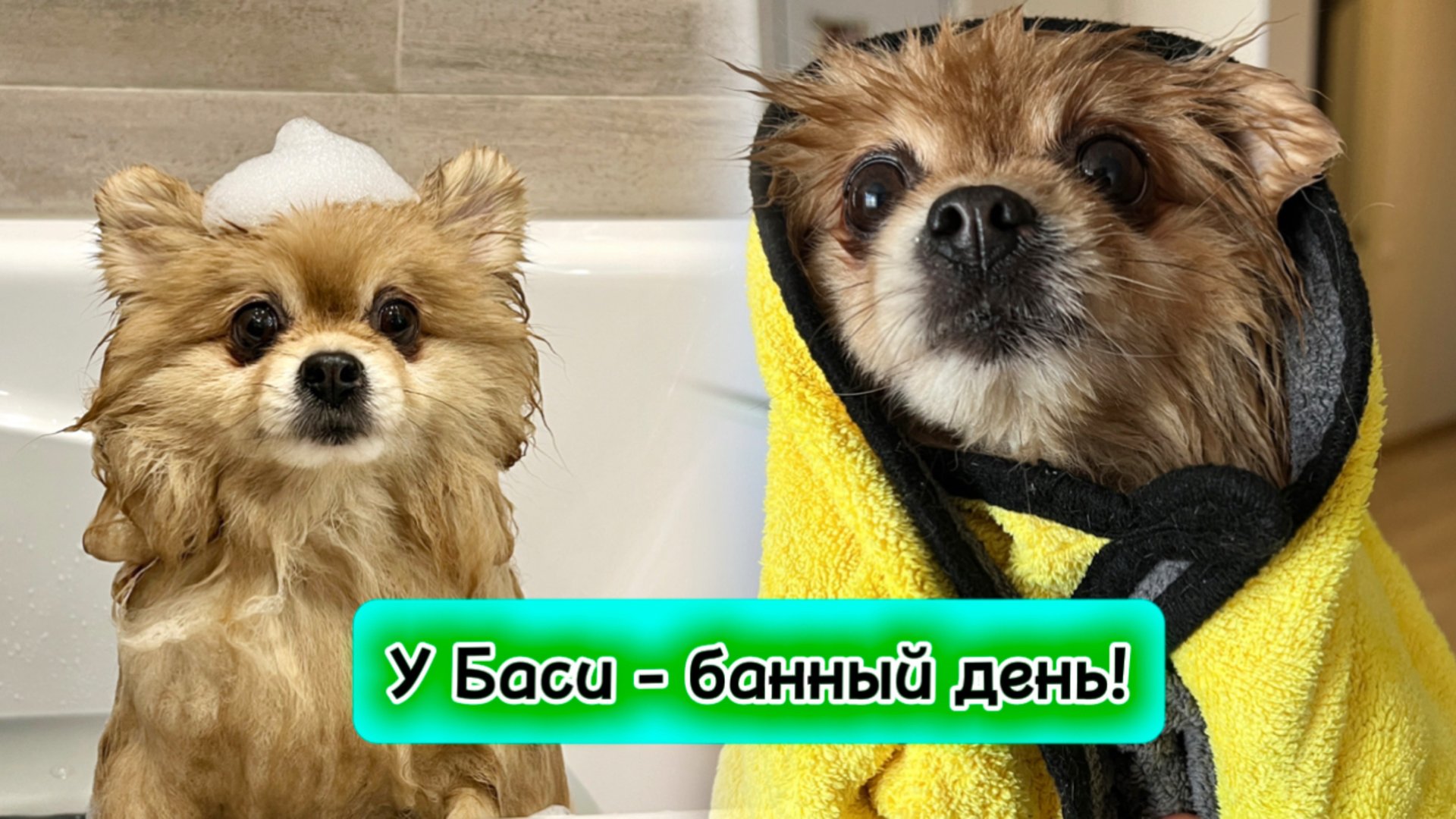 У Баси - банный день!