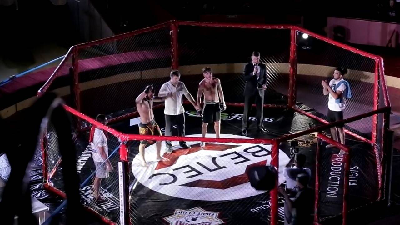MMA (бои без правил)