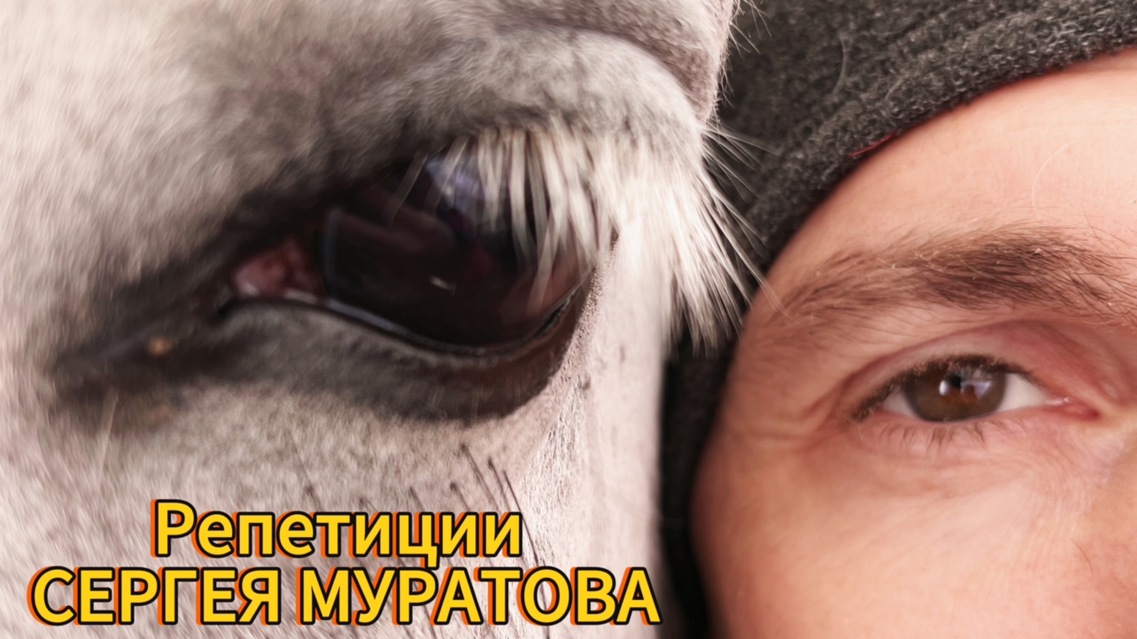 Репетиции труппы «Джигиты Муратовы» под руководством Сергея Муратова #топыкатегорий #цирк #джигиты