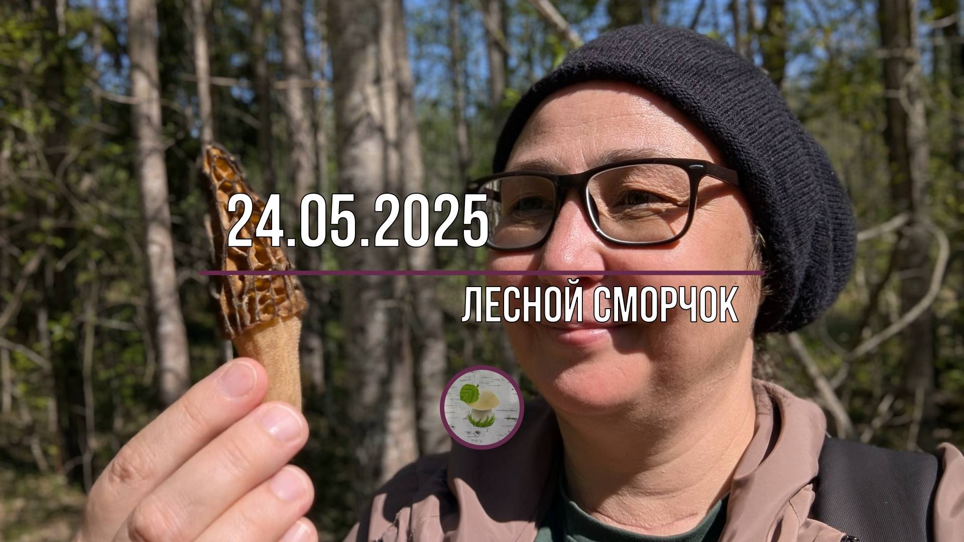 Мой первый лесной сморчок, гроза и летний бор.