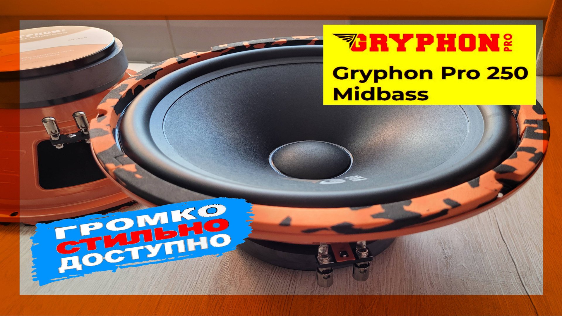 Установка динамиков в короба Gryphon Pro 250 Midbass от DL Audio