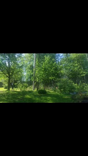 Vovadance | Mission: Impossible - Part Two | Iconic Run