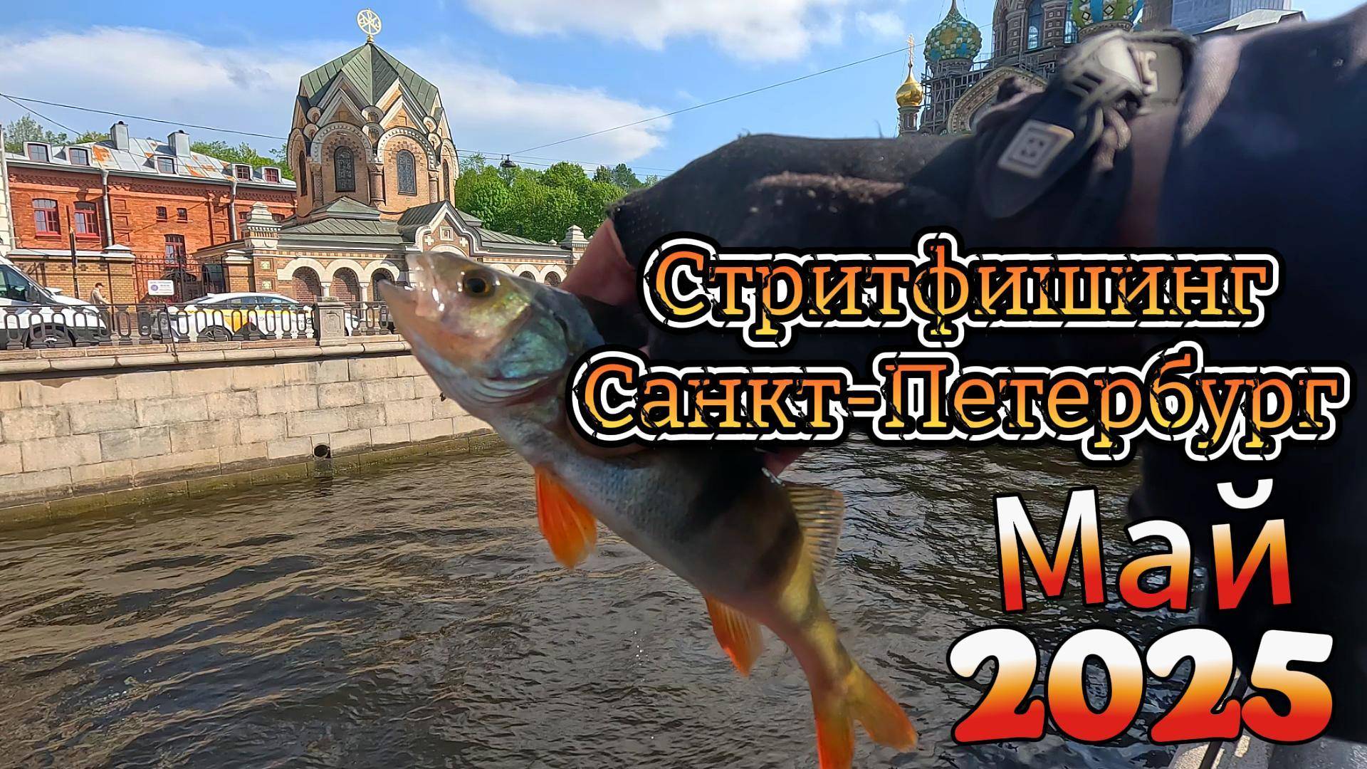 ИЩЕМ ПРИМАНИВАЕМ ДРОПШОТИМ ГОРОДСКОГО ХИЩНИКА В ЦЕНТРЕ ГОРОДА РЕКИ ФОНТАНКА МОЙКА КАНАЛ ГРИБОЕДОВА