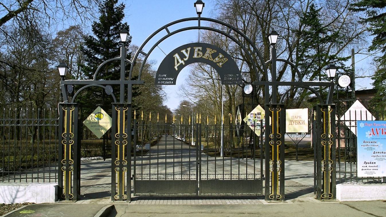 2020 лето. Пляж. Сестрорецк.