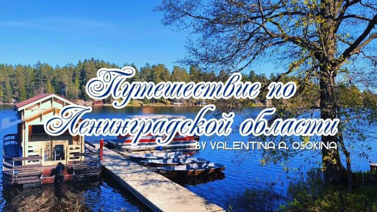 Модульные дома, инженерные решения, концепции для отдыха в Ленинградской области