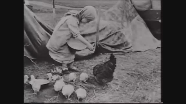 Высоцкий Дым и пепел встают