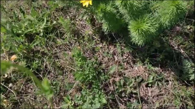 2024 По горам и по долам в селе Надежда