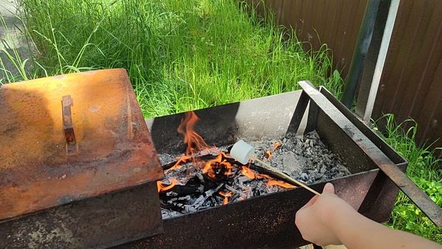 ПИКНИК С ПАПОЙ