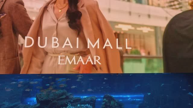 Дубай | аквариум в дубаи | дубай молл | 2025